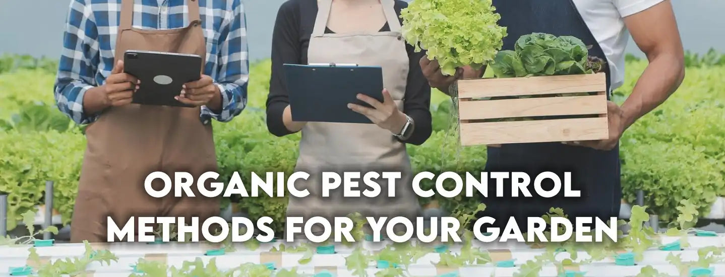 Organic Pest Control Methods for Your Garden – FitFitGarden