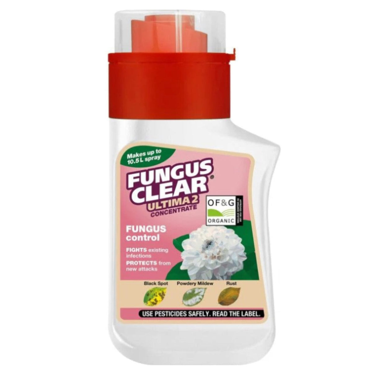 FungusClear® Ultimate Concentrate 210ml – FitfitGarden